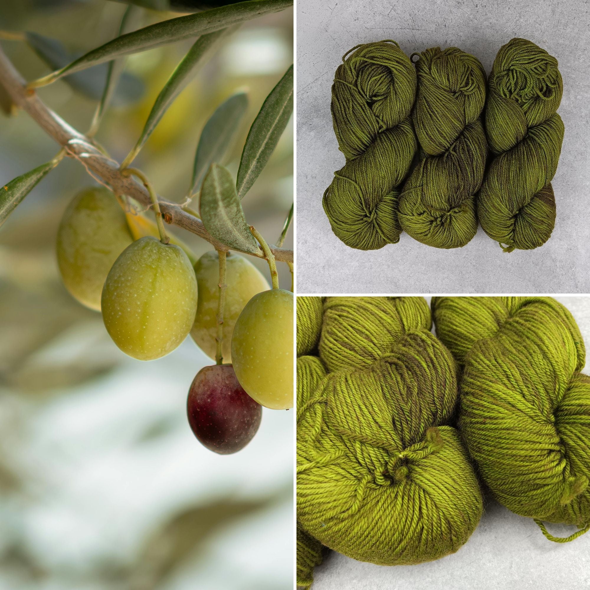Olive Tree - Nightingale Sport - 100% Merino – Little Barn Studio